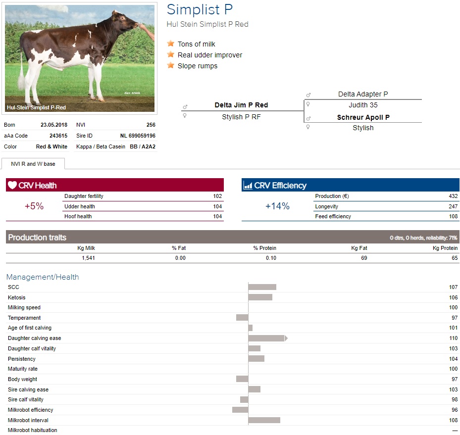 Holstein Rojo - Genex Colombia
