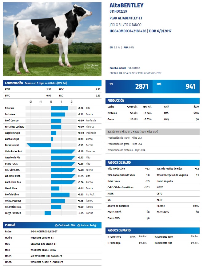 Holstein Negro - Genex Colombia