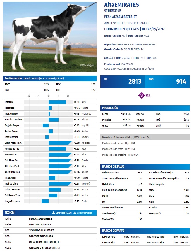 Holstein Negro - Genex Colombia