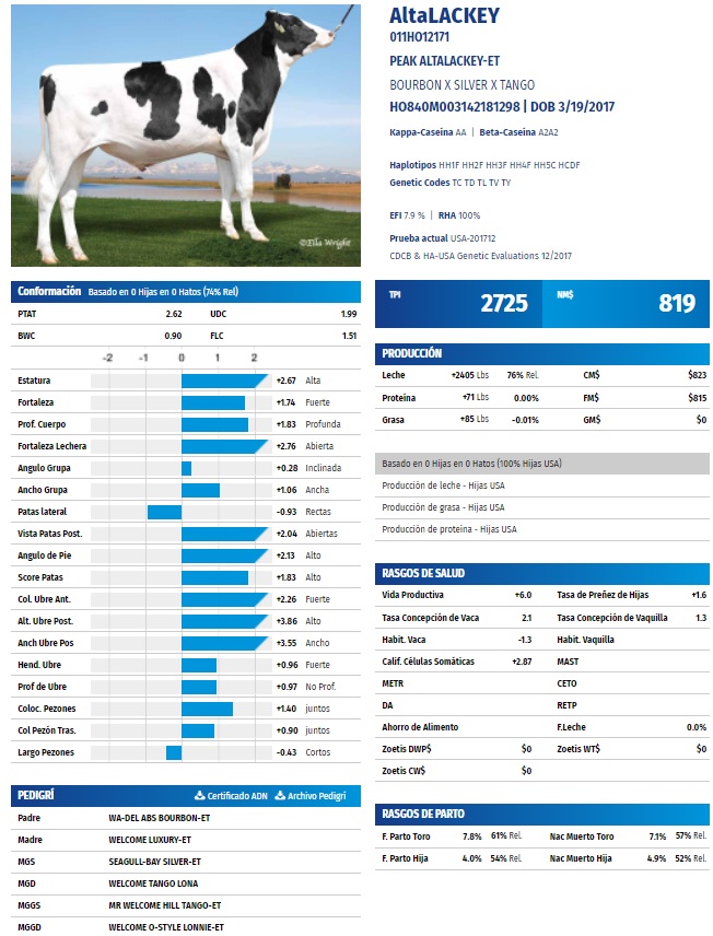 Holstein Negro - Genex Colombia