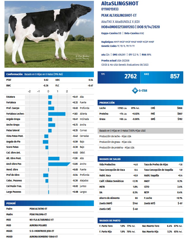Holstein Negro - Genex Colombia
