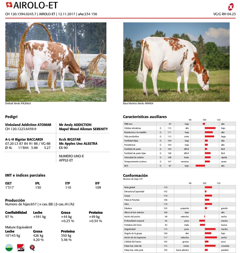 Holstein Rojo - Genex Colombia