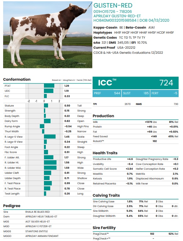 Holstein Rojo - Genex Colombia