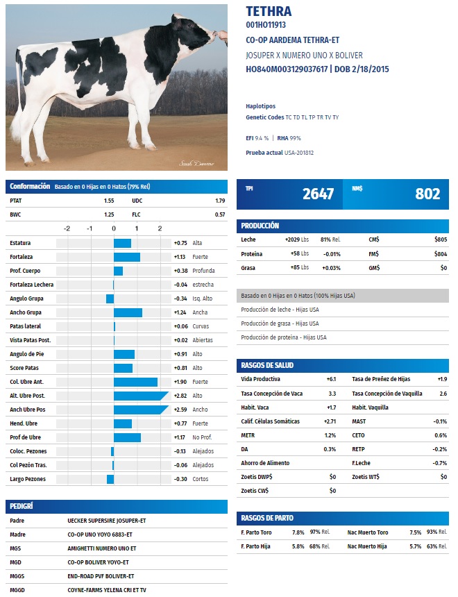 Holstein Negro - Genex Colombia