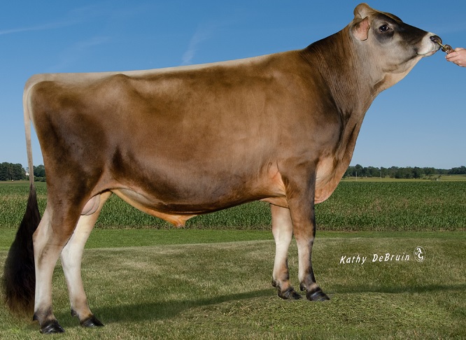 Jersey - Genex Colombia