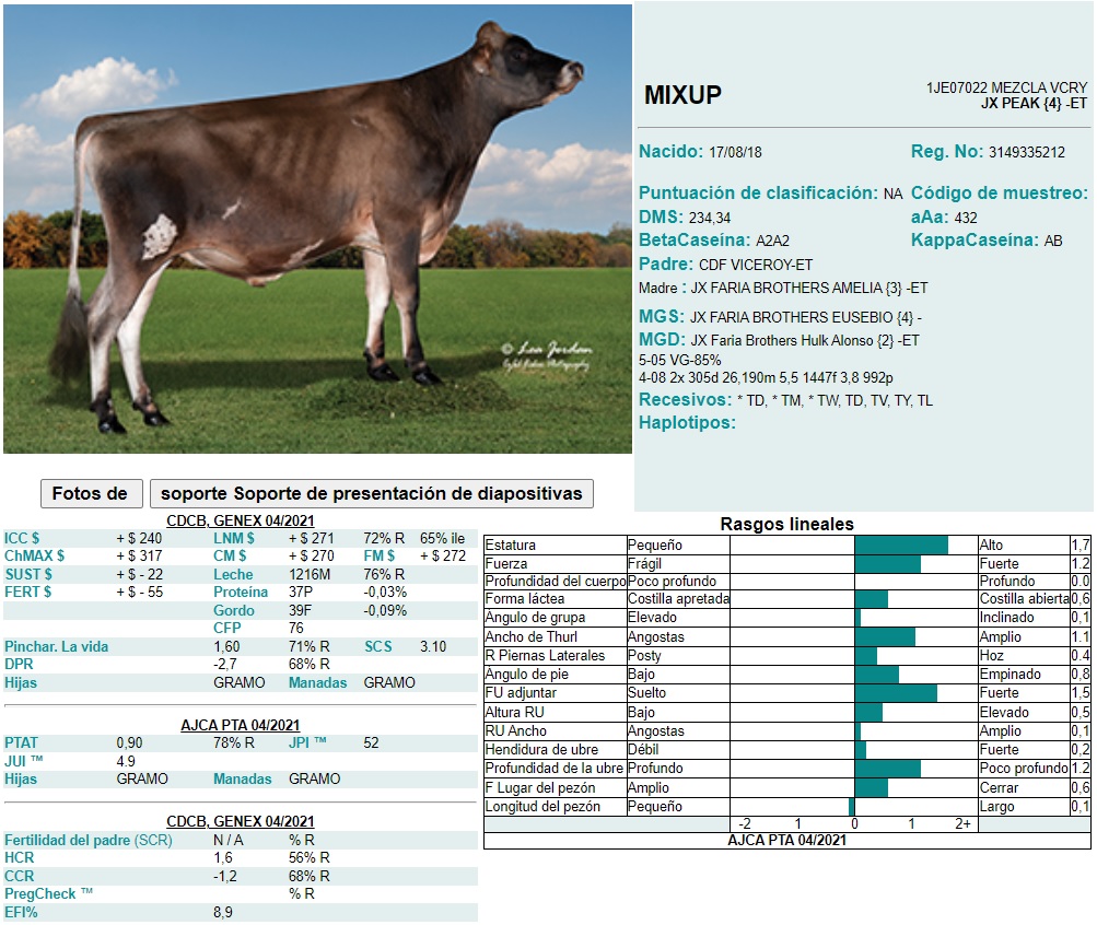 Jersey - Genex Colombia