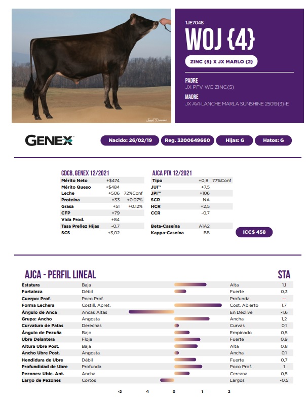 Jersey - Genex Colombia