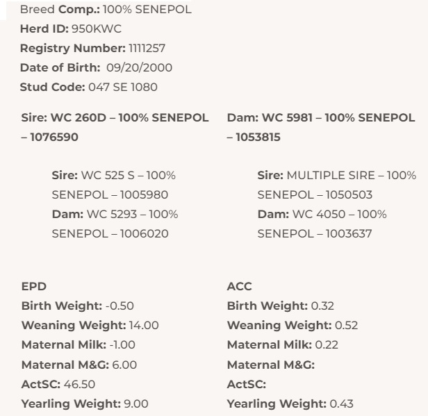 Senepol - Genex Colombia